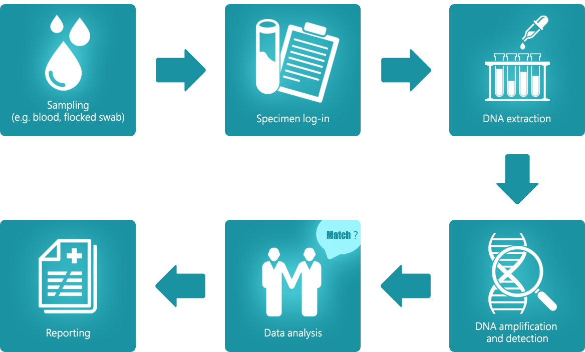 Medtimes Medical Group NIPT DNA Test Procedure